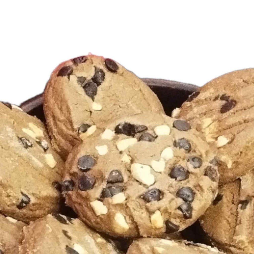 CHOCO NUT BISCUITS 250G - Foodish Snacks